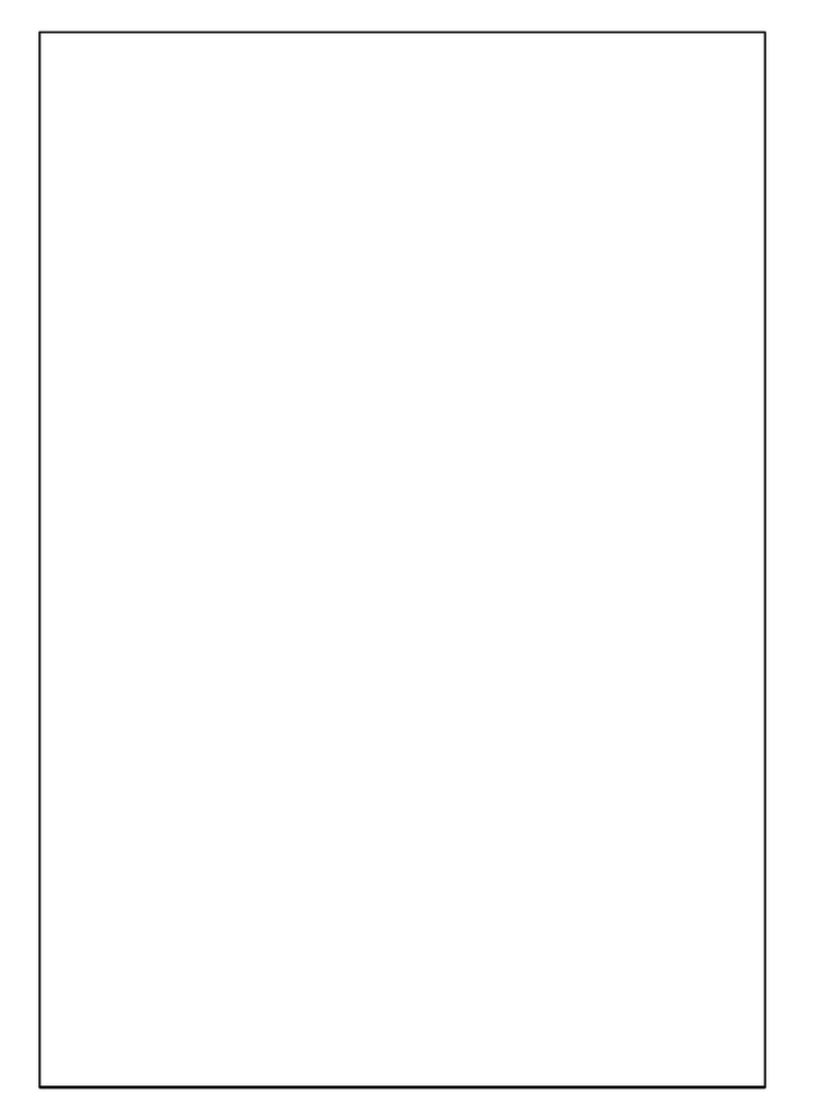 Unruled Border Left Page | PDF