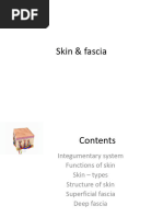 Friction Ridge Skin Morphogenesis and Overview | PDF | Epidermis | Hand