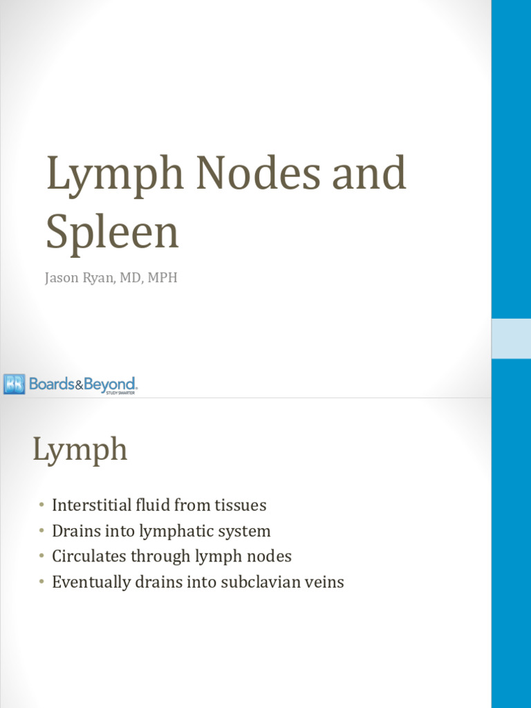 Lymph Nodes and Spleen Atf | PDF | Lymph Node | Lymphatic System