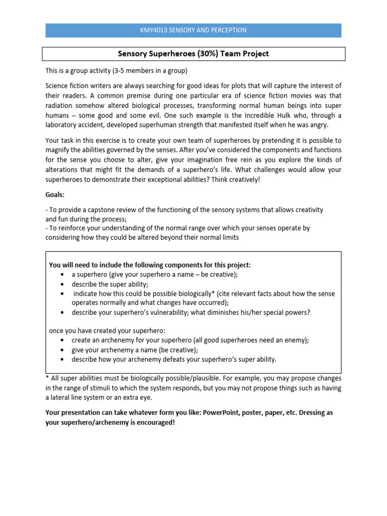 Sensory Superheroes Team Project | PDF