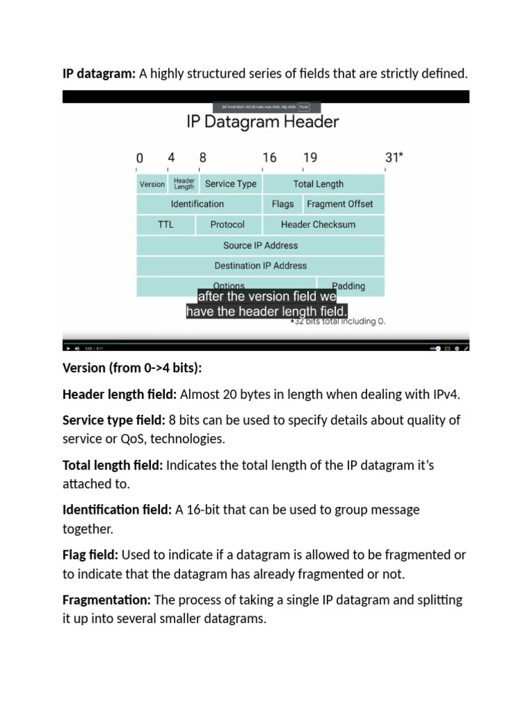IP Datagram Structure Guide | PDF