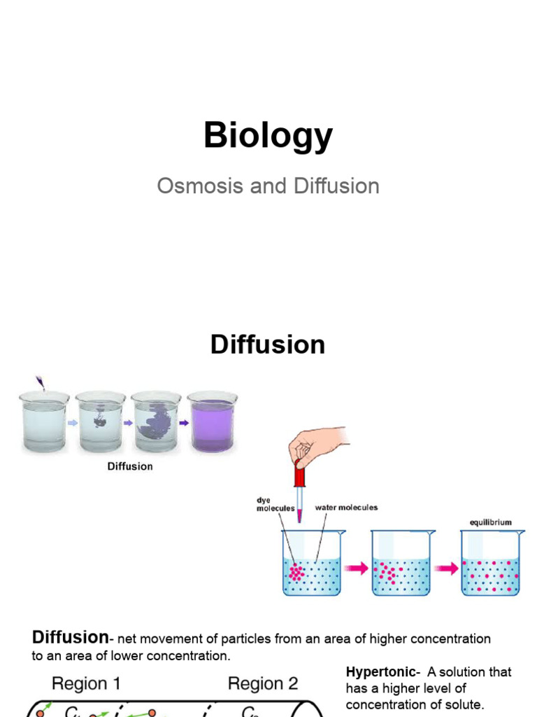 Osmosis and Diffusion Basics | PDF