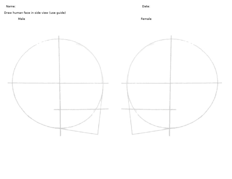 Human Face Sideview Activity | PDF
