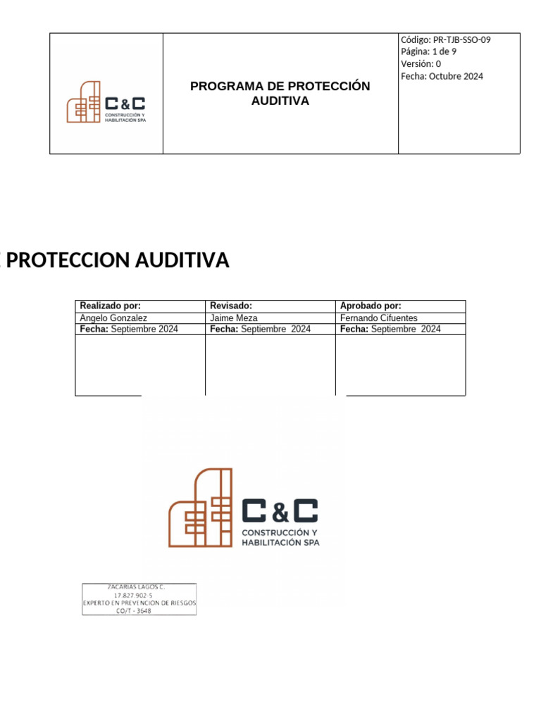 Programa Proteccion Auditiva | PDF | ruido | Seguridad y salud ocupacional