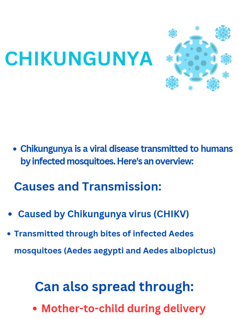 Chikungunya 20241019 221446 0000 | PDF | Wellness | Science & Mathematics