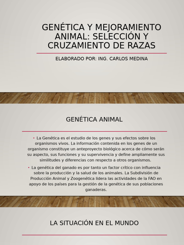Genética y Mejoramiento Animal 3-9-2024 | PDF | Salud y bienestar