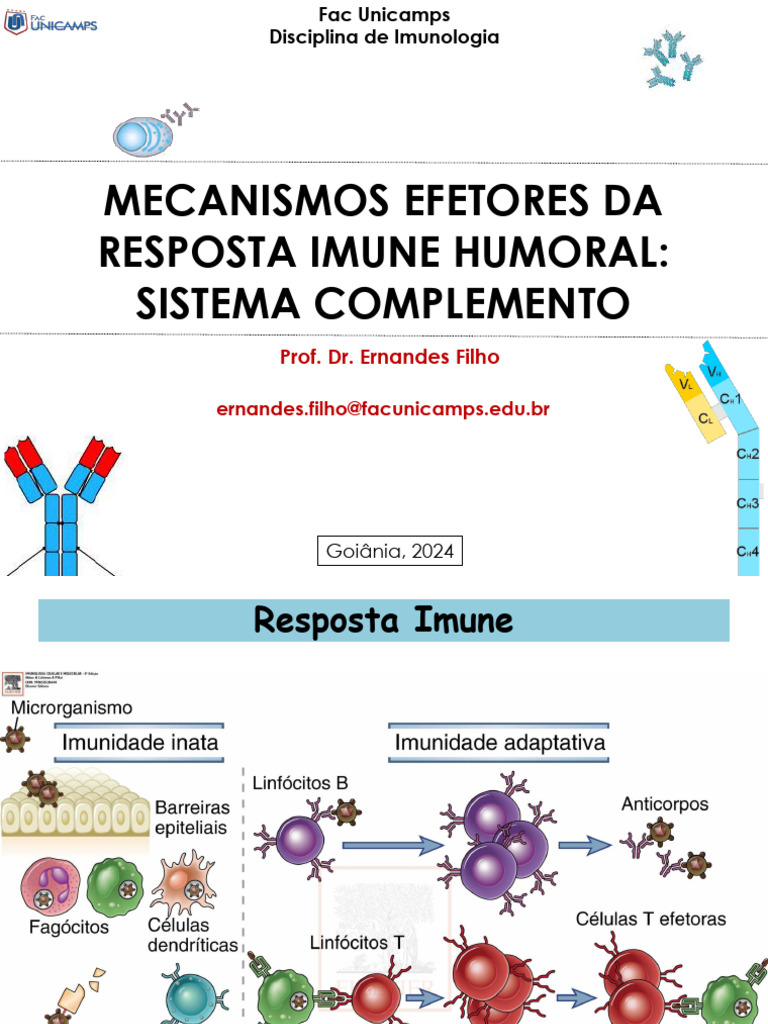 Mecanismos da Resposta Imune Humoral | PDF | Sistema complementar ...