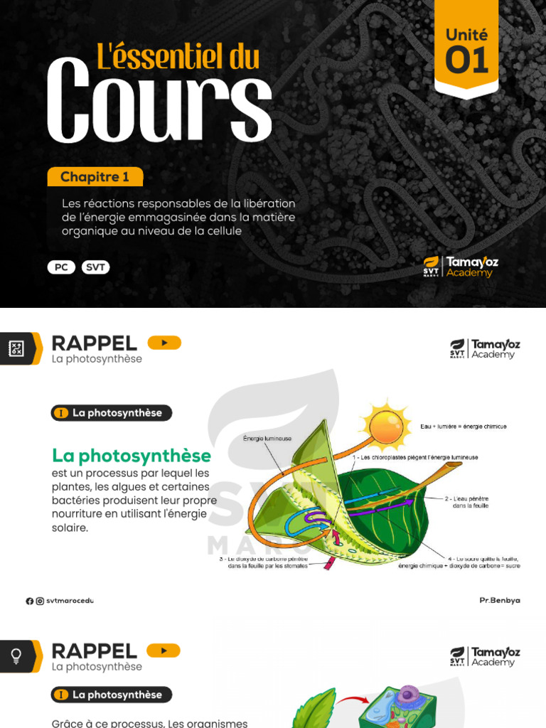 Essentiel Du Cours Axe 1 Chapitre 1 ATP Unité 1 Consommation de | PDF