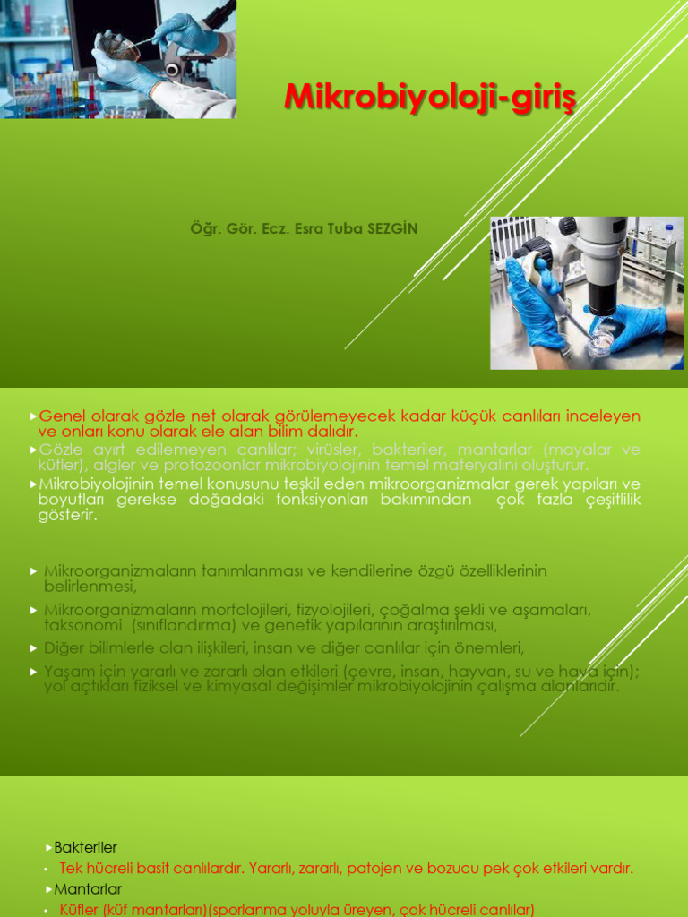 Mikrobiyoloji Giris 1 Hafta | PDF