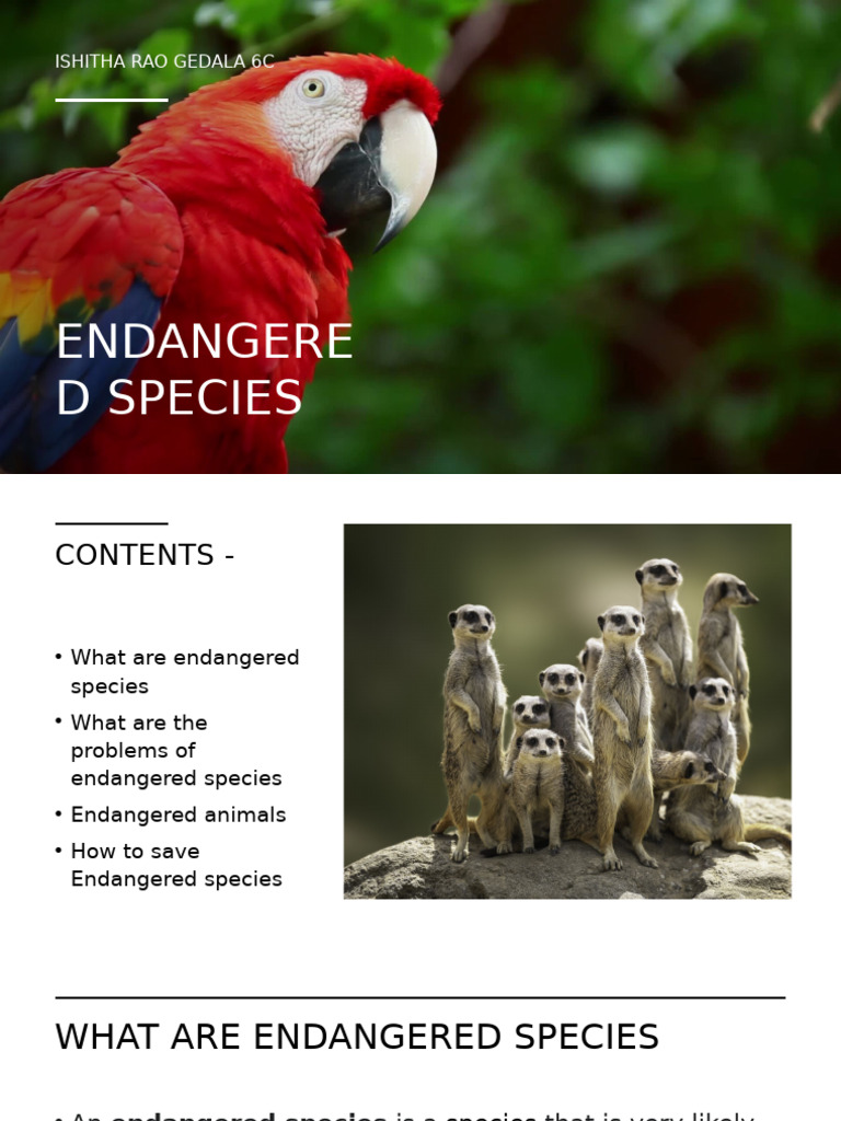 Endangered Species | PDF | Technology & Engineering