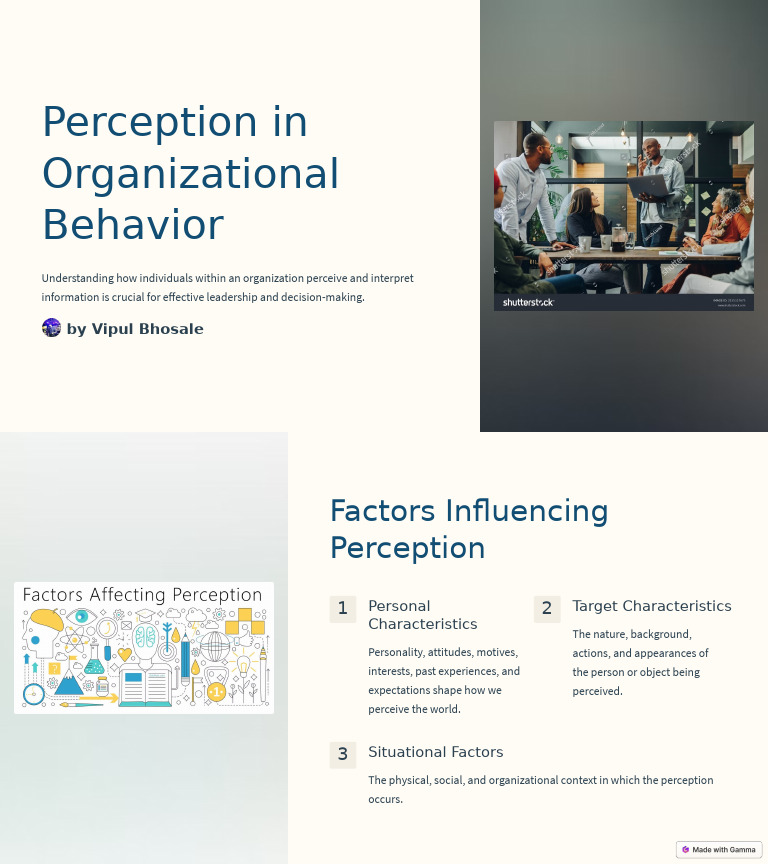 Perception in Organizational Behavior 1 | PDF