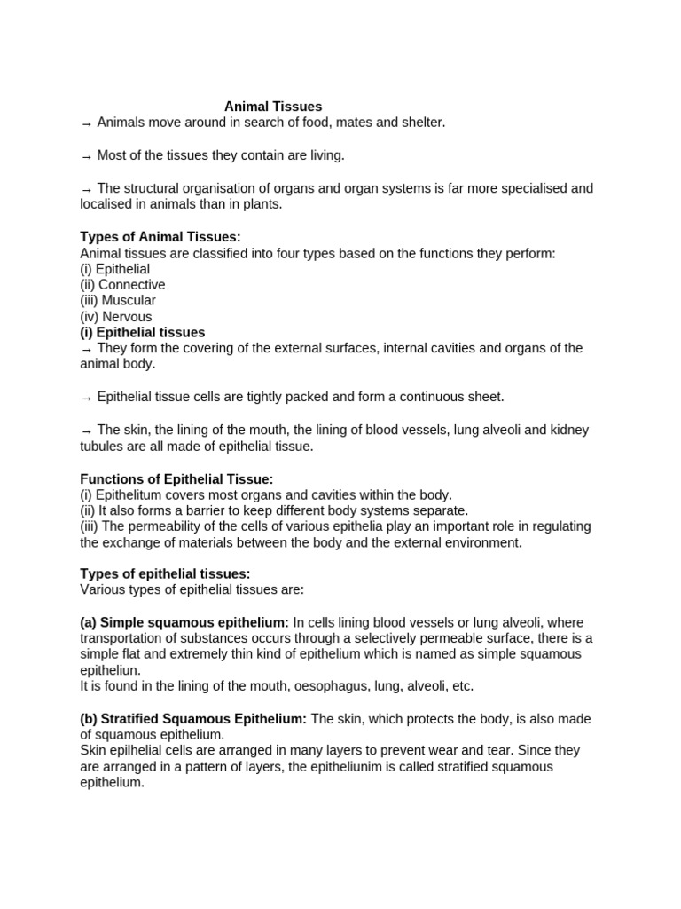 Animal Tissues | PDF | Epithelium | Muscle