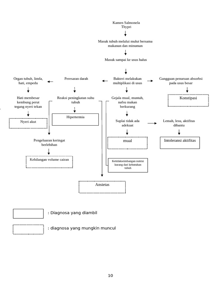 Diagnosa Demam Typhoid dan Gejalanya | PDF