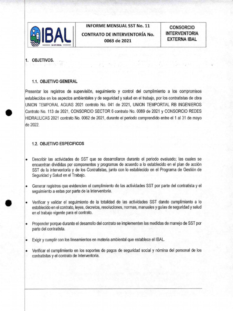 Informe SST | PDF
