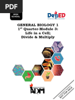 Medical Rebus Puzzles | PDF