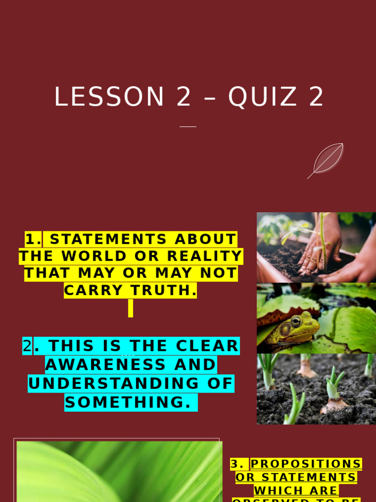 Lesson 2 - Quiz 2 | PDF