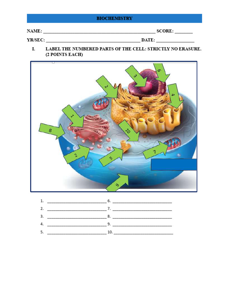 Biochemistry Cell Structure Quiz | PDF | Science & Mathematics