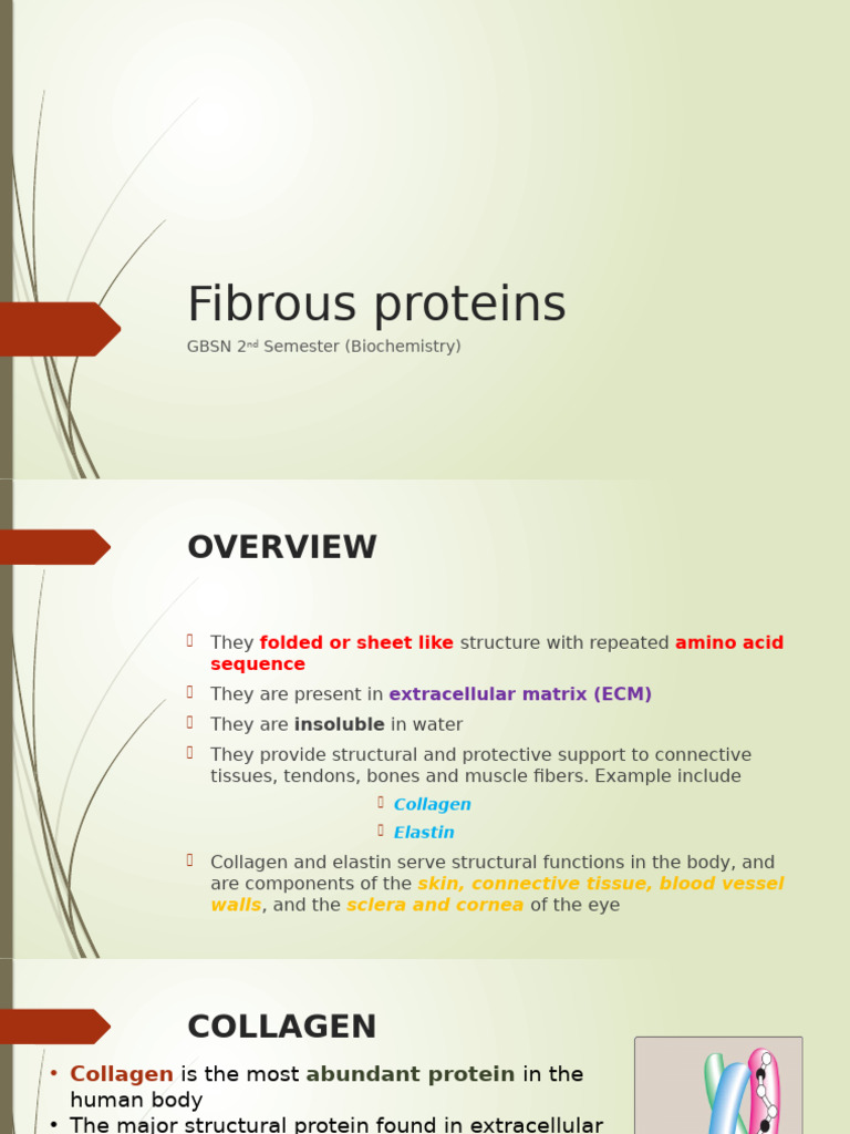Fibrous proteins | PDF | Collagen | Extracellular Matrix