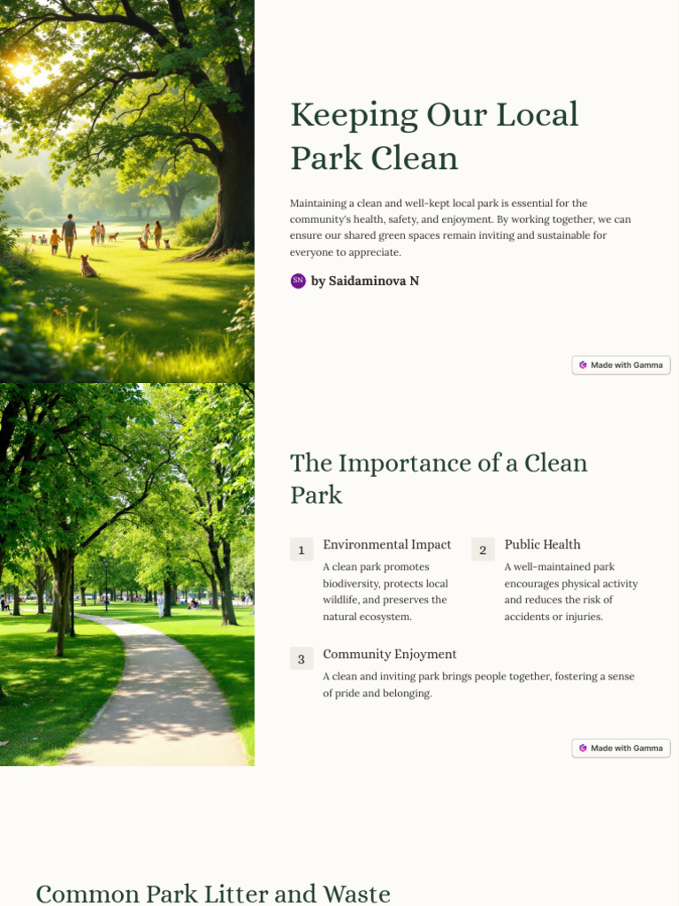 Keeping Our Local Park Clean | PDF | Waste | Pollution