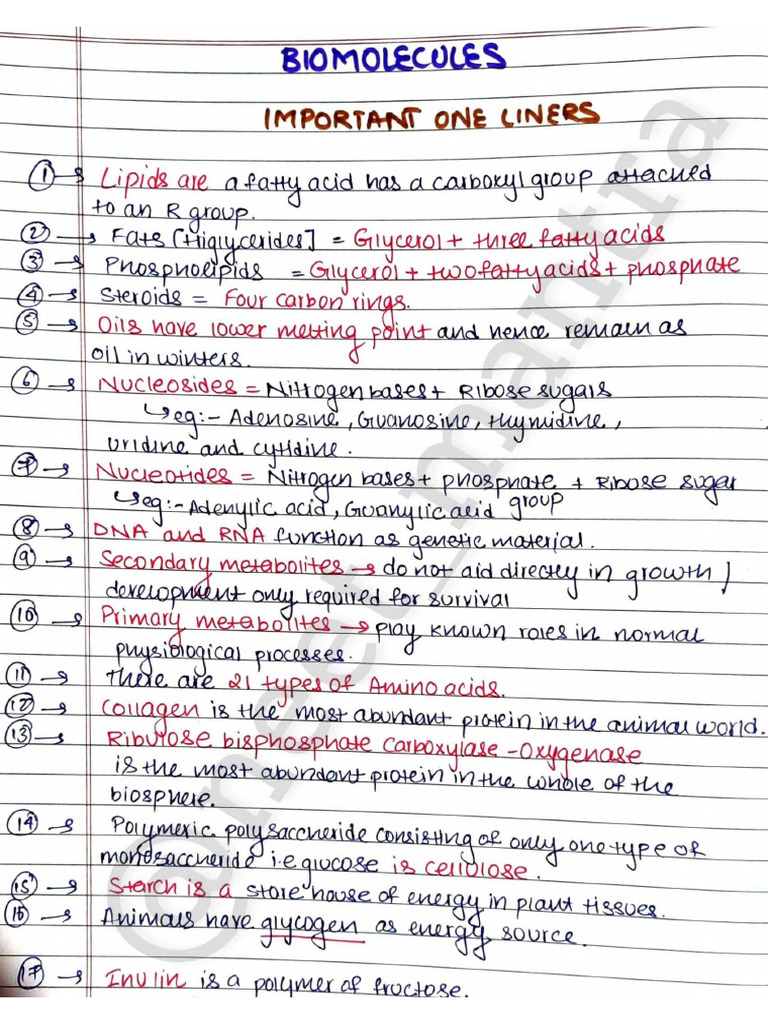 BIOMOLECULES Important One Liners | PDF