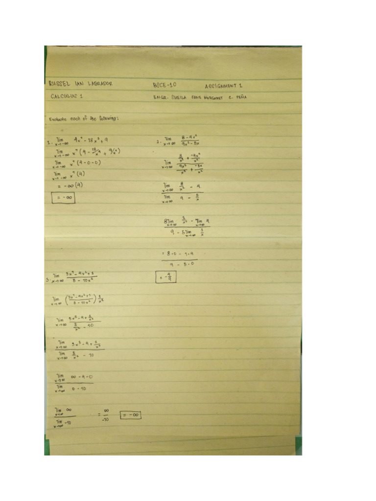 Calculus Assignment | PDF