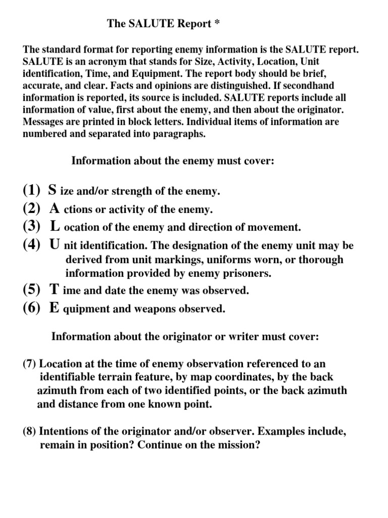 The SALUTE Report | PDF | History