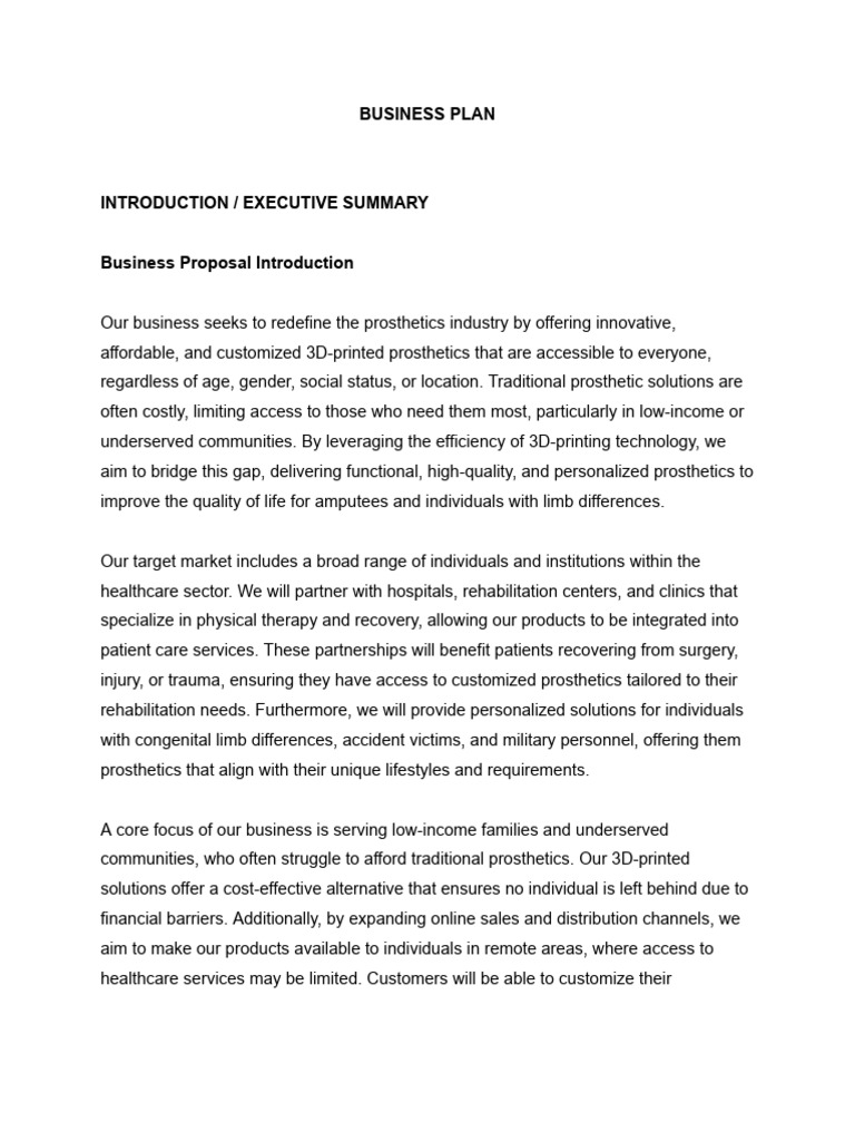 LM BUSINESS PLAN DRAFT | PDF | Prosthesis | Expense