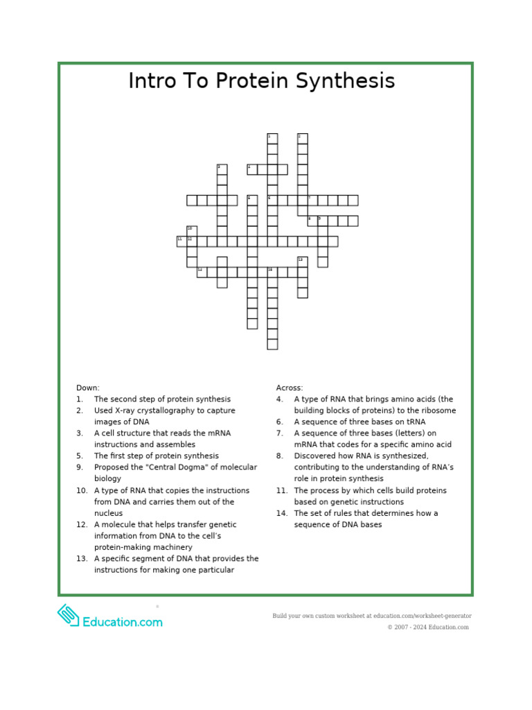 Protein Synthesis Worksheet | PDF | Translation (Biology) | Proteins