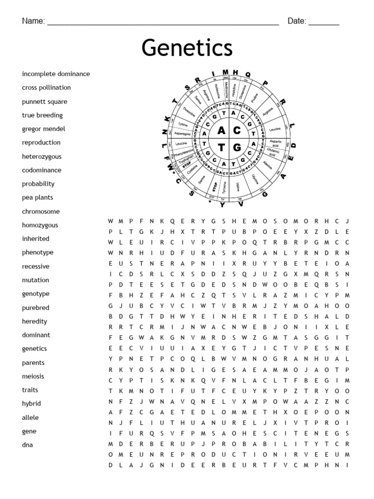 Genetics Crossword Word Search Puzzle | PDF | Dominance (Genetics ...