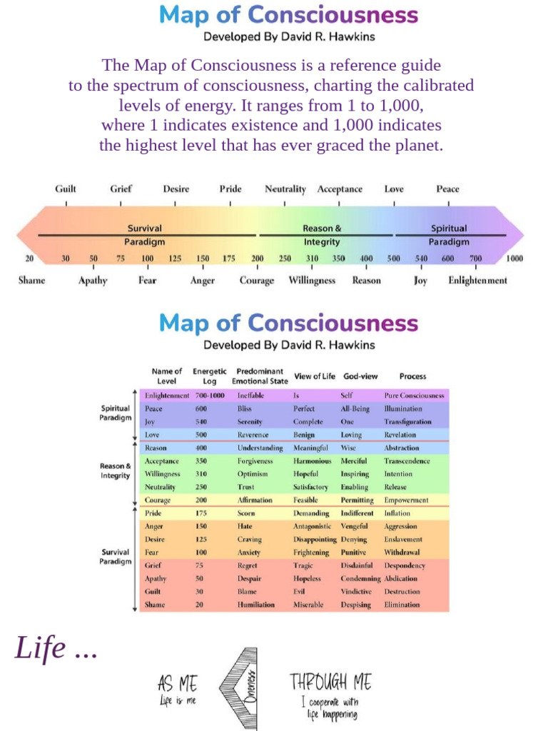 Consciousness Levels Guide | PDF
