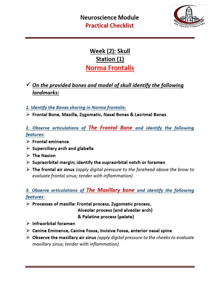 Skull Anatomy Practical Checklist | PDF | Skull | Human Head And Neck