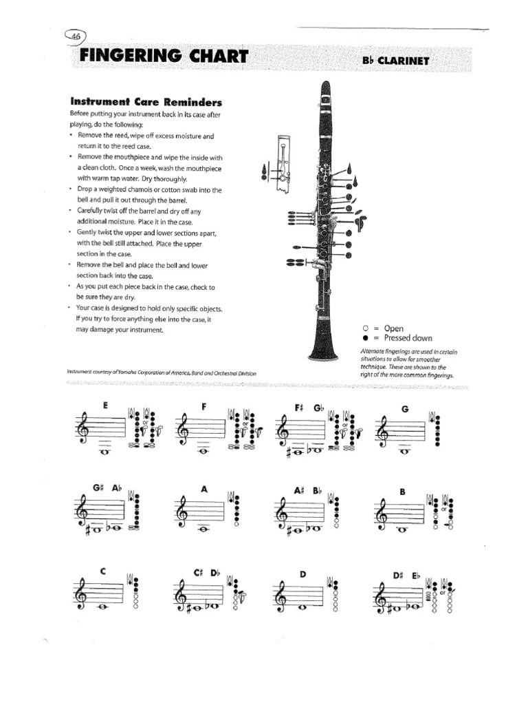 14 - Fingering Chart | PDF