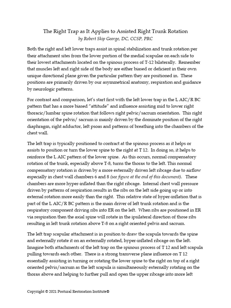 Right Trap As It Applies To Assisted Right Trunk Rotation | PDF ...