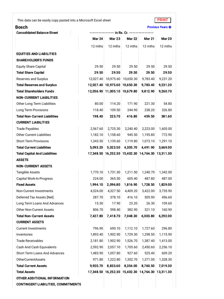 BOSCH Company Financial Report | PDF | Equity (Finance) | Economies
