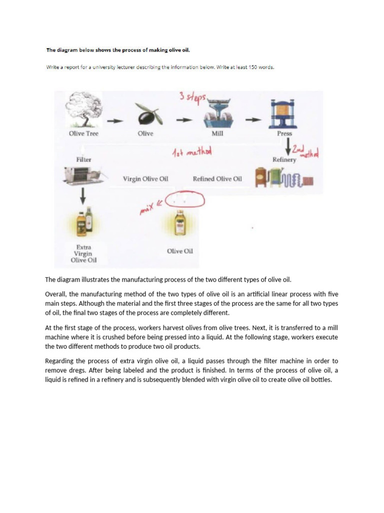 Process Task 1 | PDF | Science & Mathematics