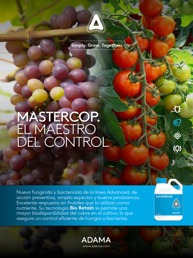 Folleto MASTERCOP | PDF | Cobre