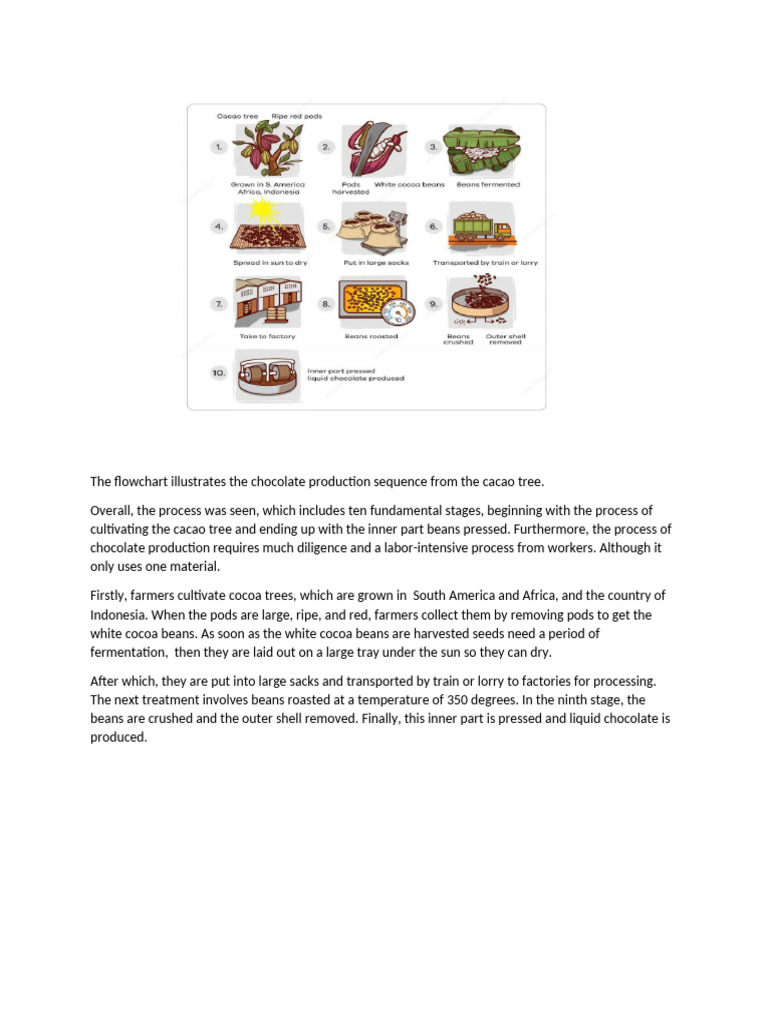 Homework Writting Task1 Process Chocolate | PDF | Cooking, Food & Wine ...