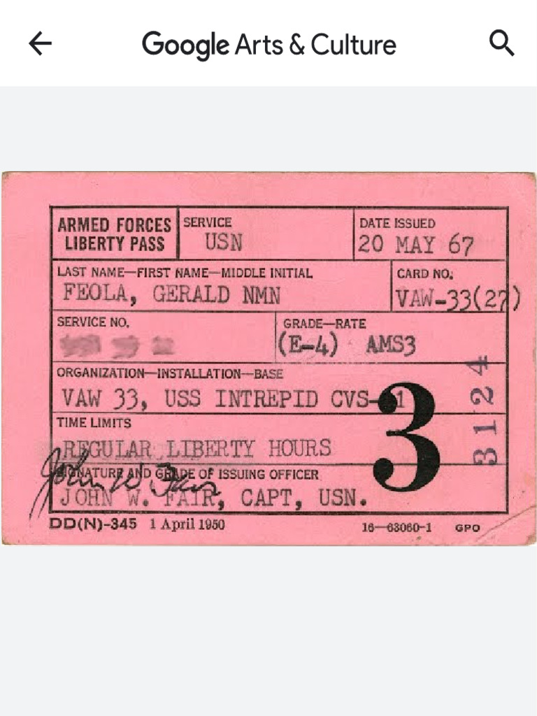 Armed Forces Liberty Pass - Google Arts & Culture | PDF