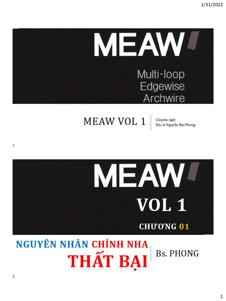 MEAW Vol 1 | PDF