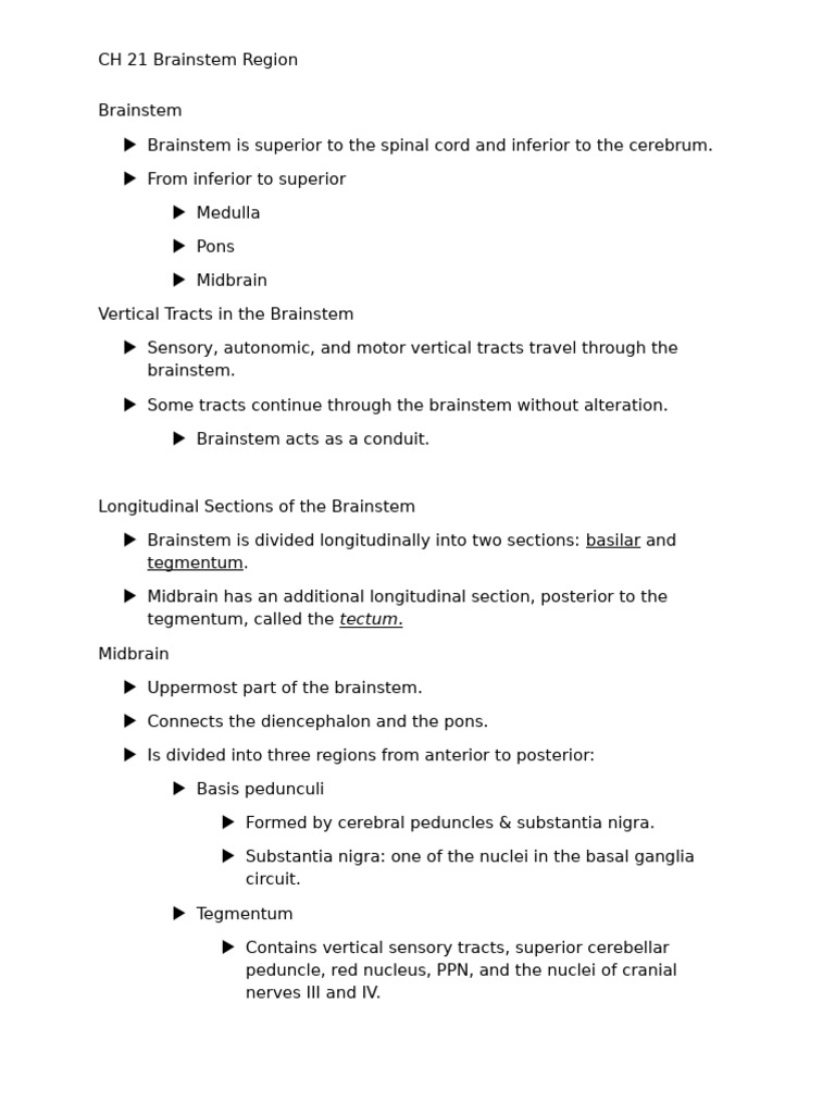 Brainstem | PDF | Brainstem | Brain