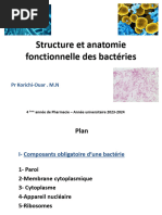 01 Structure Bacterienne | PDF | Bactérie | Cellule (Biologie)