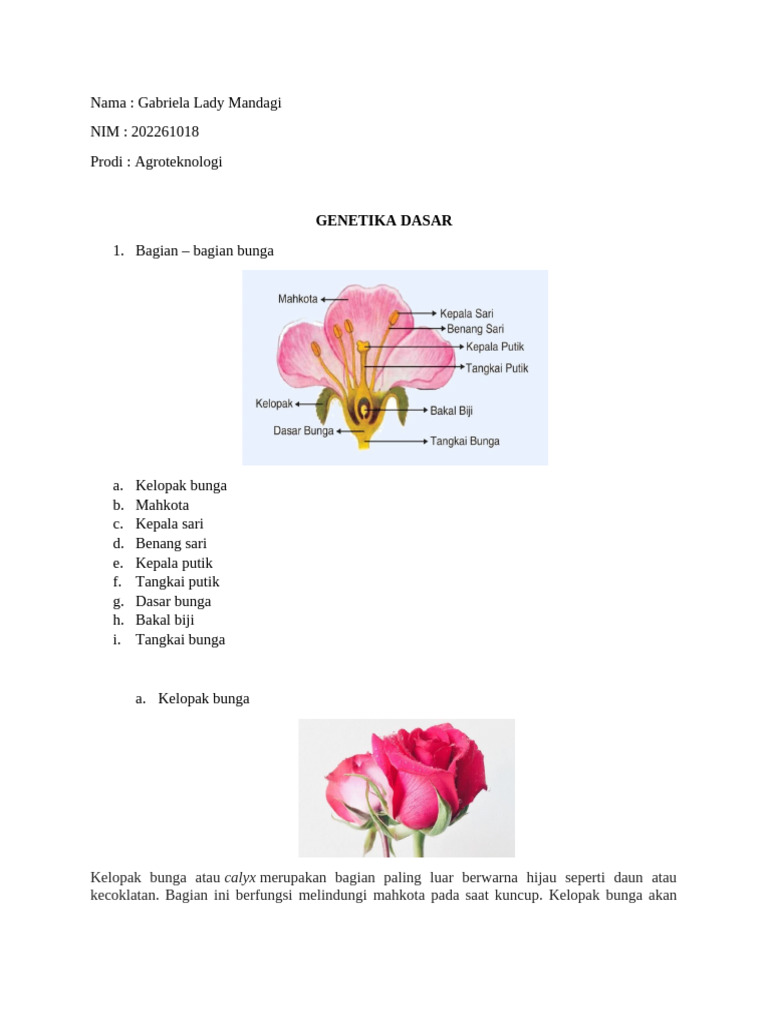 Struktur dan Fungsi Bunga dalam Genetika | PDF