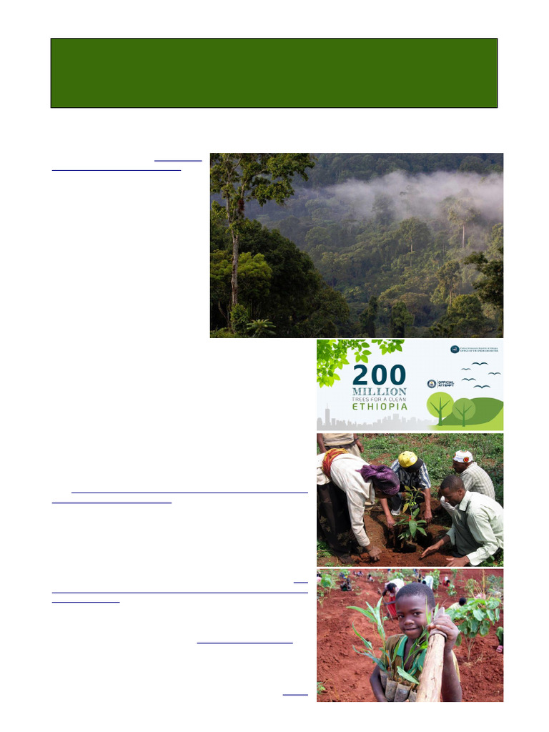 EthiopiaGreenLegacy ENG | PDF | Environmental Issues | Natural Environment