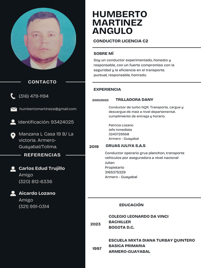 Perfil de Conductor Experto en Transporte | PDF