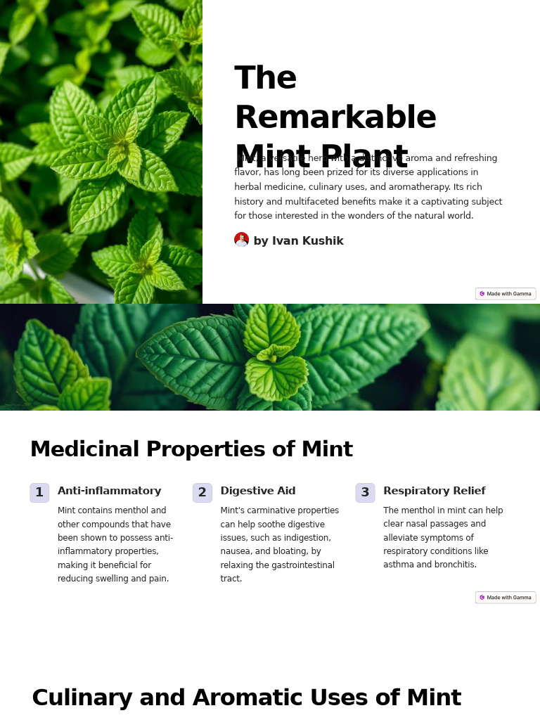 The Remarkable Mint Plant | PDF | Mentha | Aromatherapy