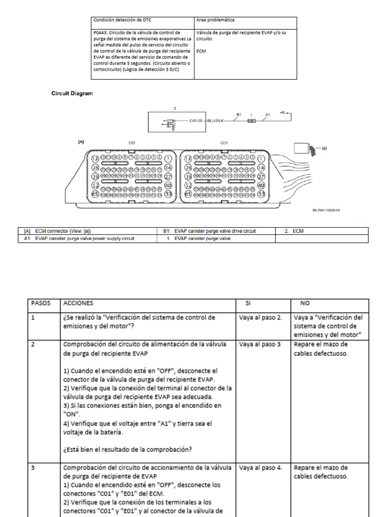 Canister DTC | PDF | Red eléctrica | Conector eléctrico
