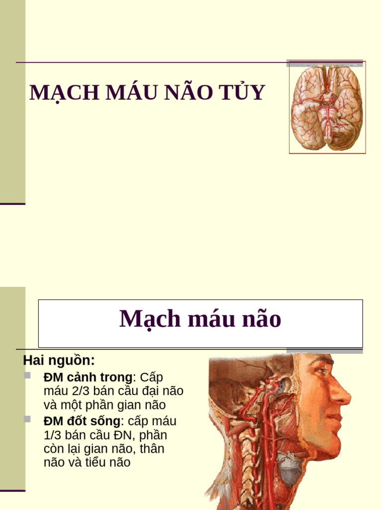 14 Mach Mau Nao Tuy | PDF