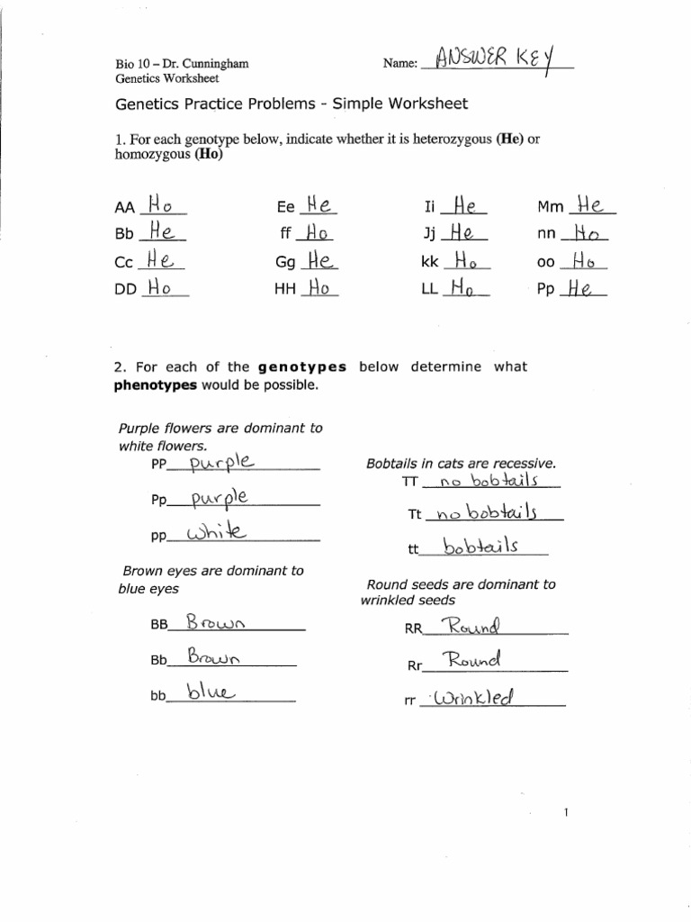 Genetics Practice Problems WS Answer Key | PDF
