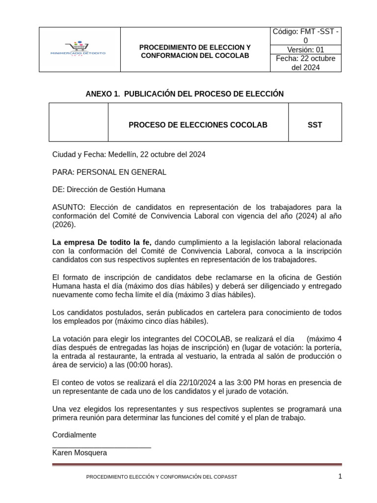 Formatos COCOLAB | PDF | Votación | Documento de identidad