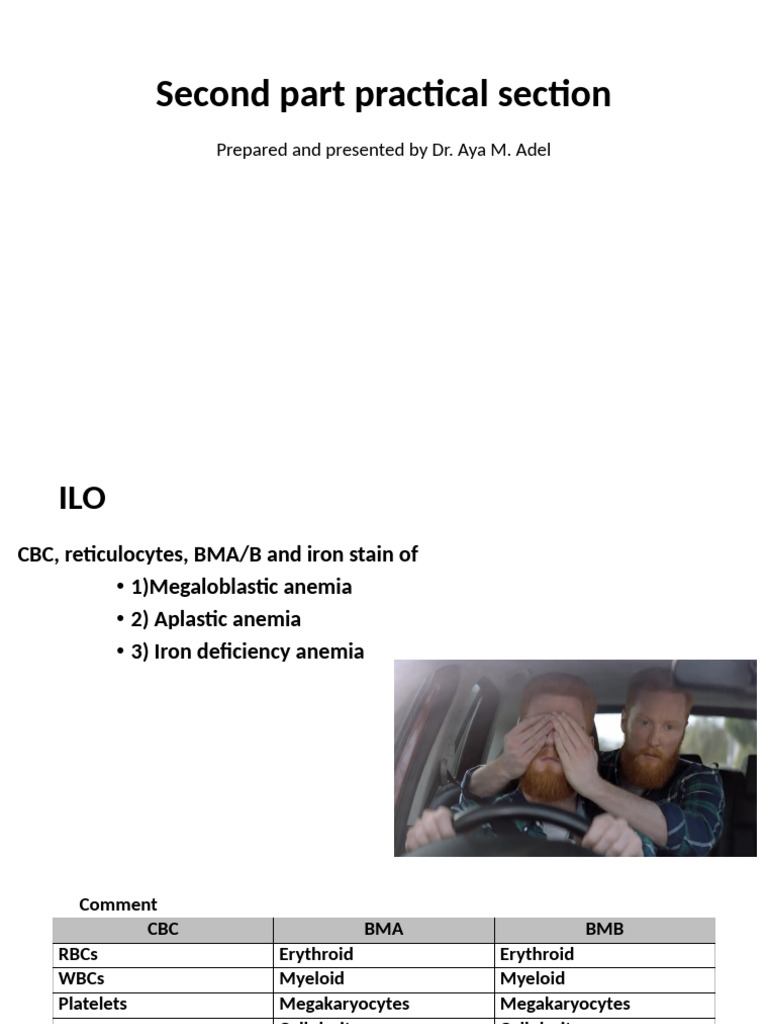 2nd Practical Megalo Aplas Ida | PDF | Anemia | Red Blood Cell